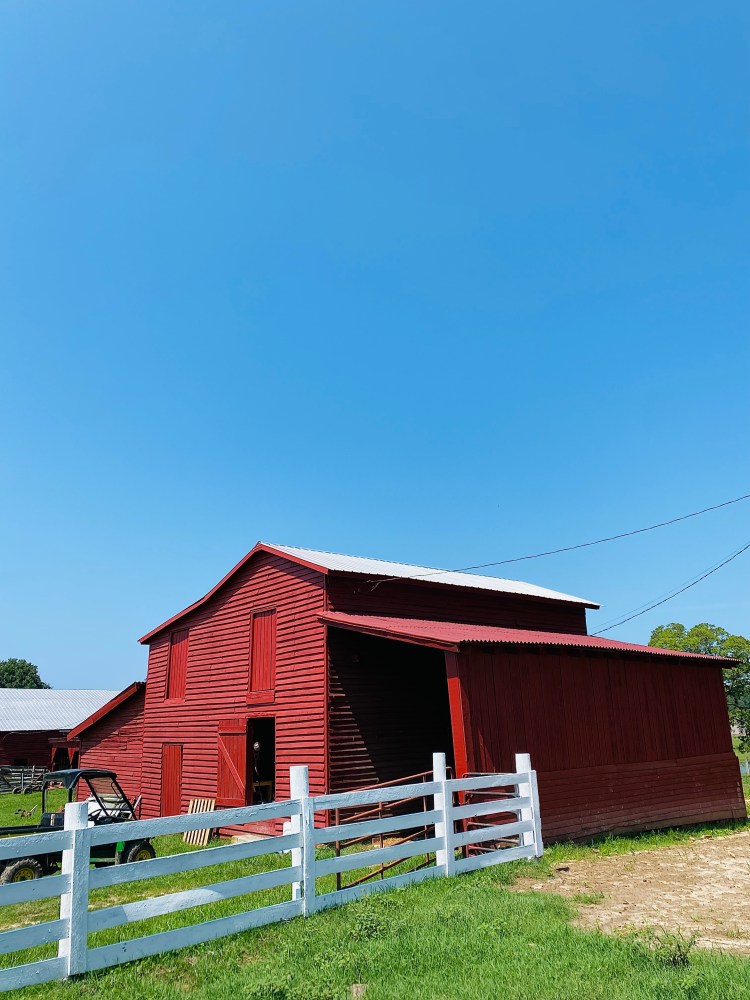 Photo Gallery – Brodie Farm