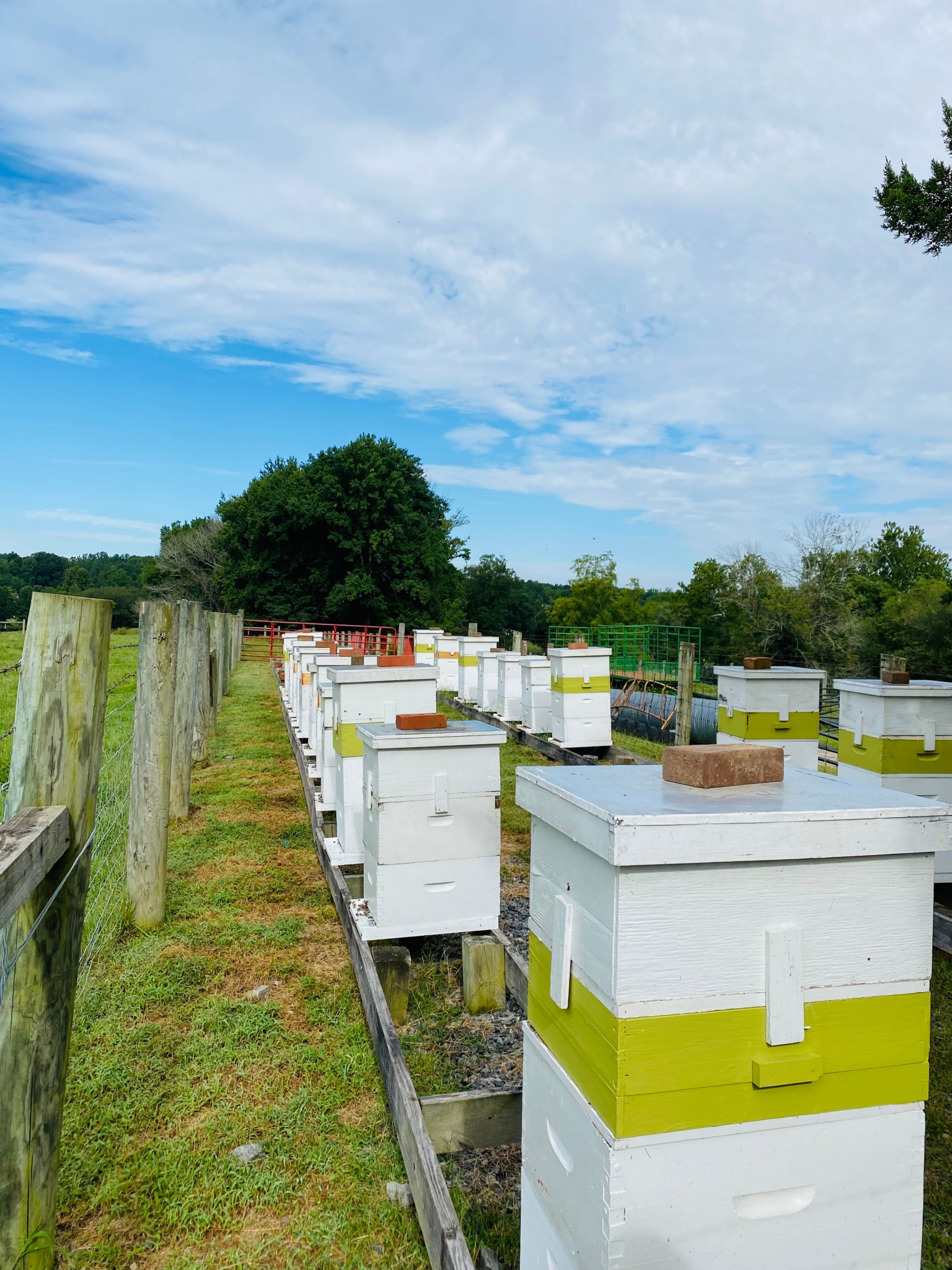Photo Gallery – Brodie Farm